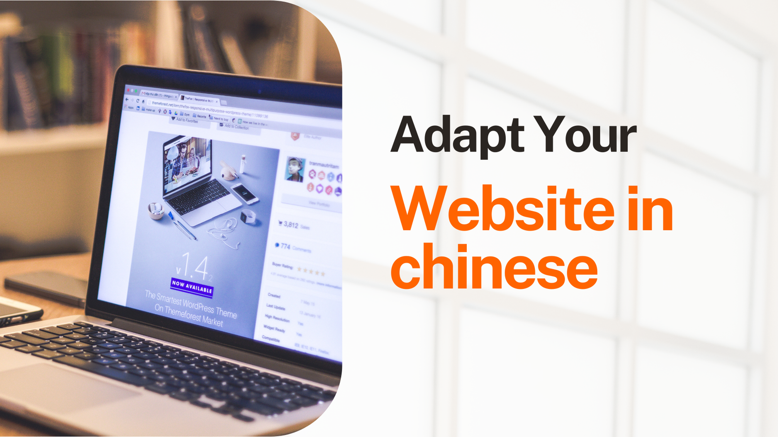 How to Adapt Your Website in Chinese - Influchina